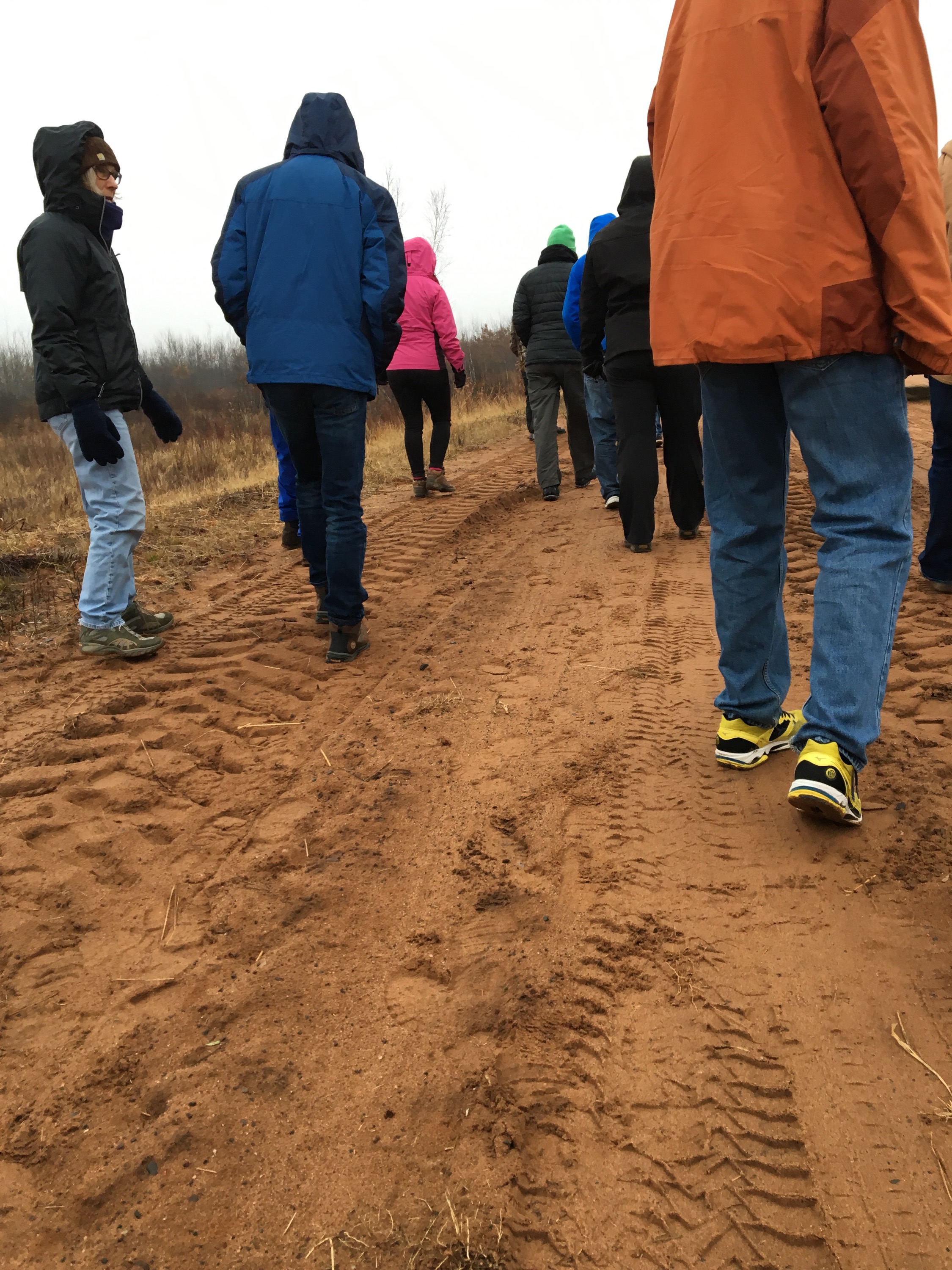 Tracking the wolf pack – Wisconsin – Wolves of Douglas County Wisconsin ...