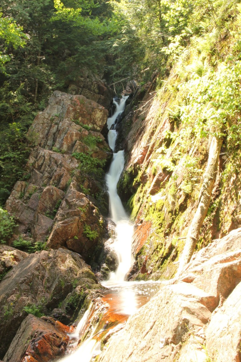 Morgan Falls/St. Peter’s Dome Trail – is just one of several premiere ...