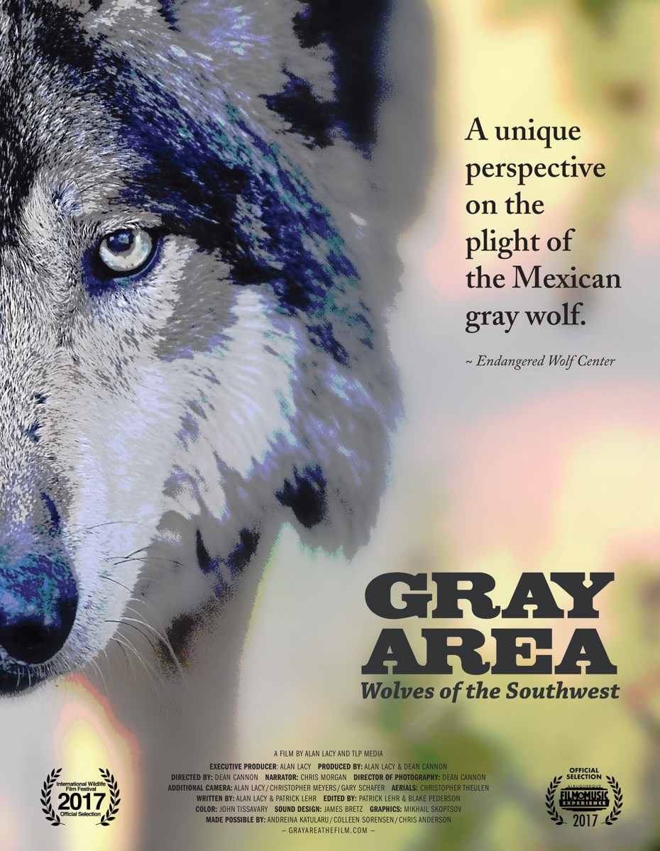 “Gray Area: Wolves of the Southwest” documentary film will be screened ...