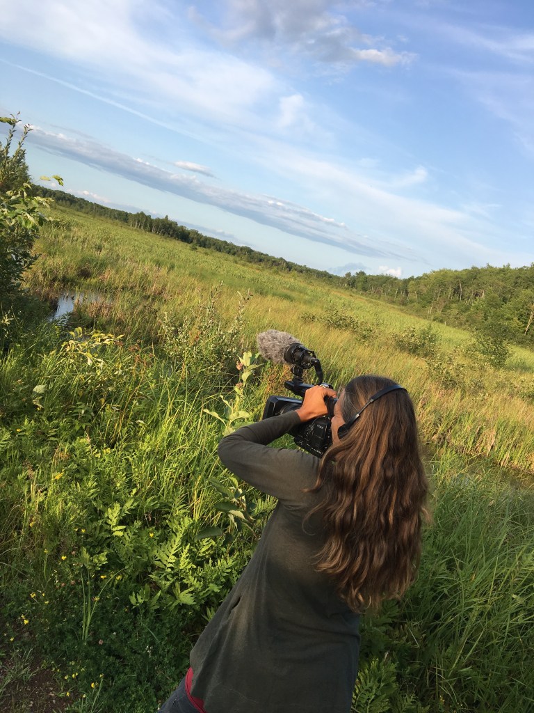 Wisconsin’s Elusive Gray Wolf Deserves Our Protection… – People ...