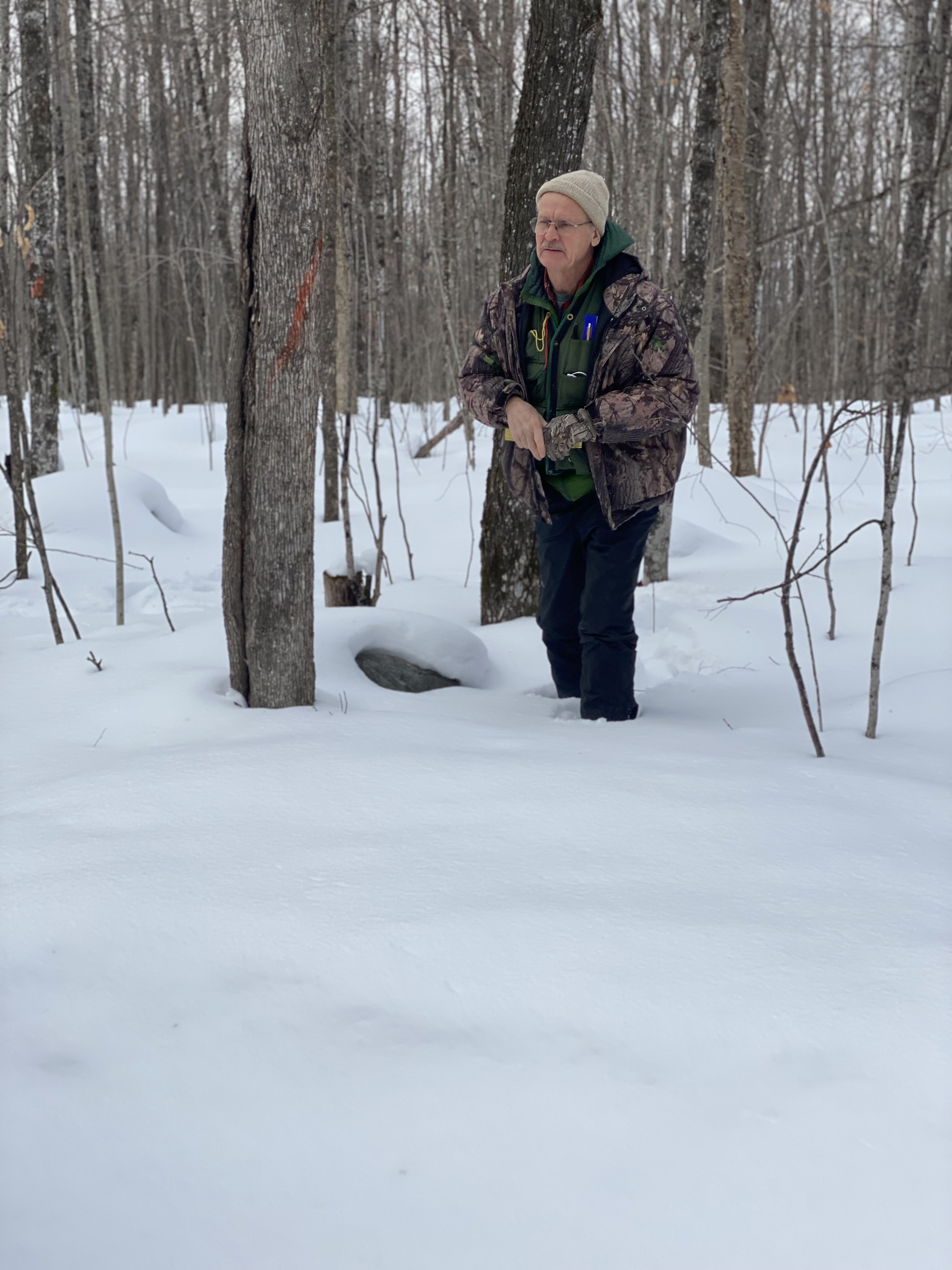 Tracking Wisconsin’s Elusive Gray Wolf – Wolves of Douglas County ...