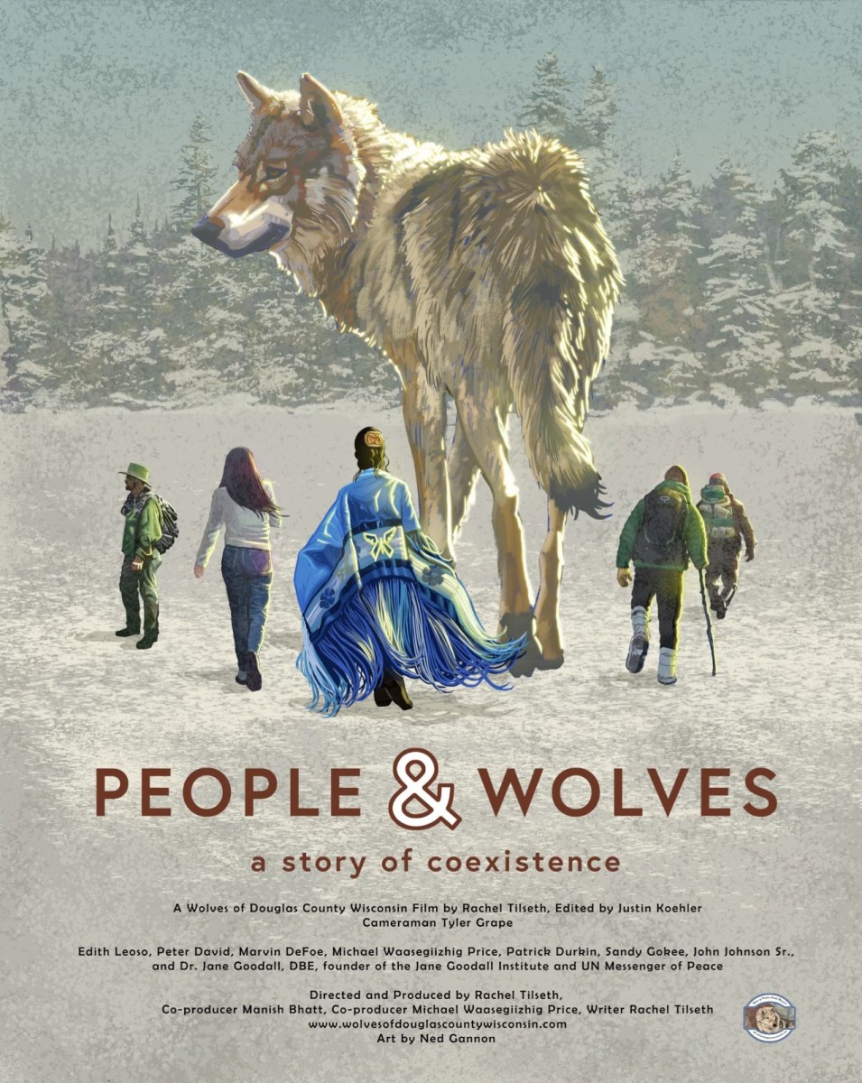 People & Wolves on the Air – Wolves of Douglas County Wisconsin Films ...
