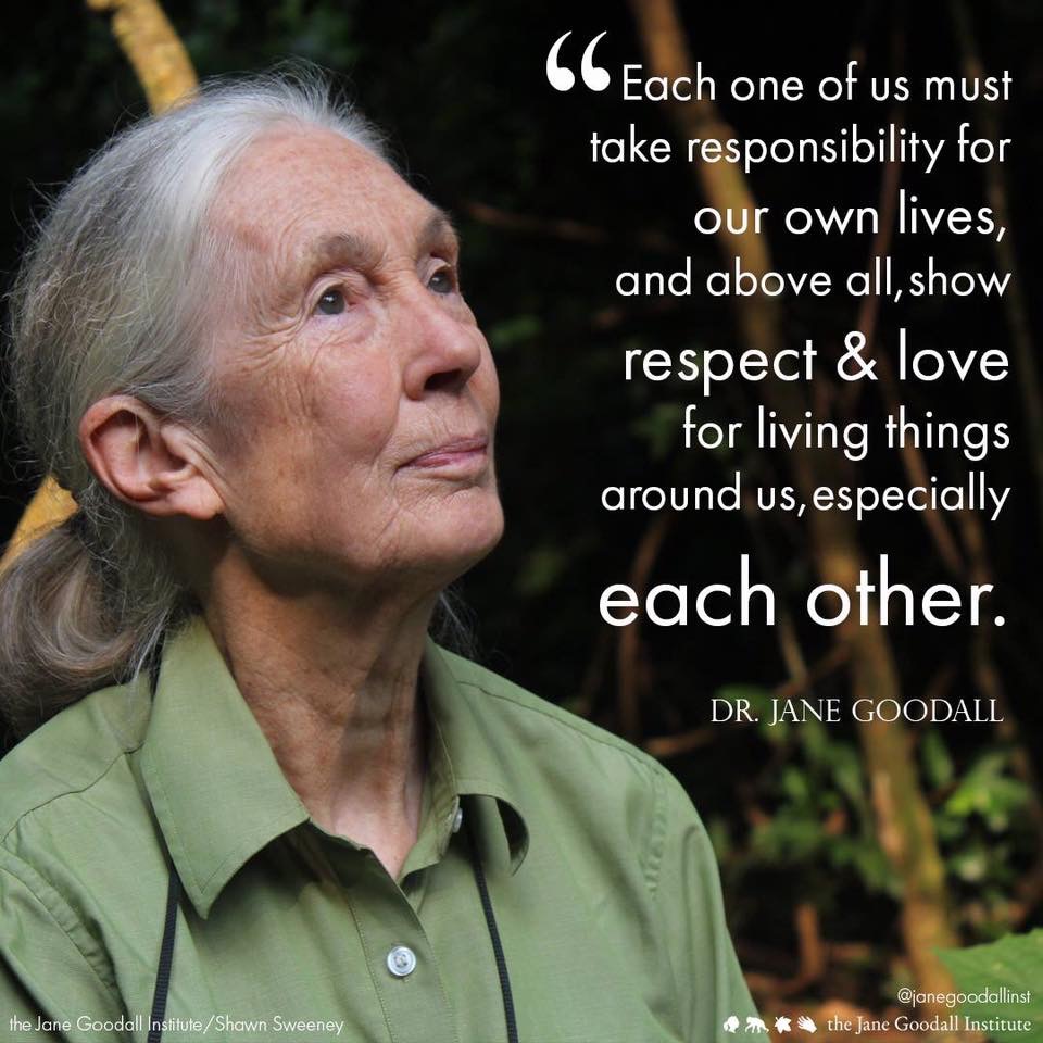 Wisconsin’s Gray wolf faces being de-listed in 2025. – Wolves of ...