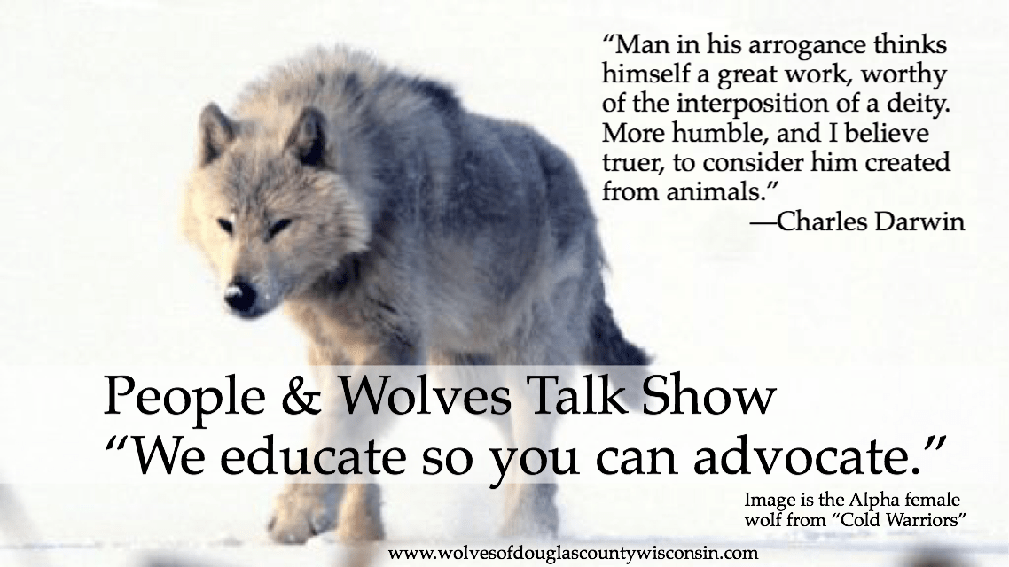 Wisconsin’s Gray wolf faces being de-listed in 2025. – Wolves of ...