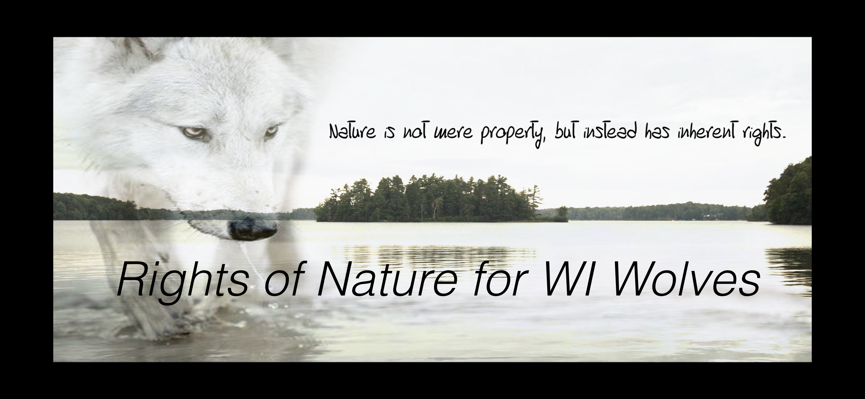 Wisconsin's Gray wolf faces being de-listed in 2025. - Wolves of ...