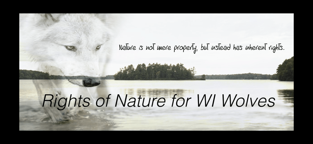 AMERICAN WOLF: A True Story of Survival and Obsession in the West ...